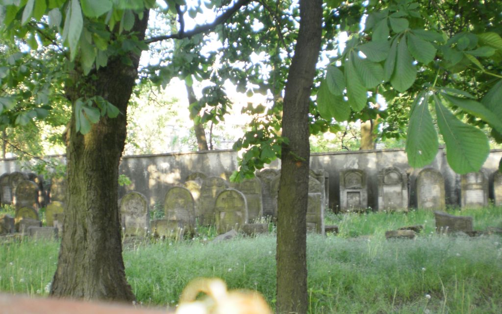 Cemetery - Jews of Ostrowiec אתר הנצחת יהודי אוסטרובייץ (אוסטרובצה)
